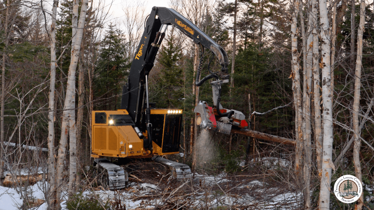 Professional Logging Contractors of the Northeast – Loggers Serving ...