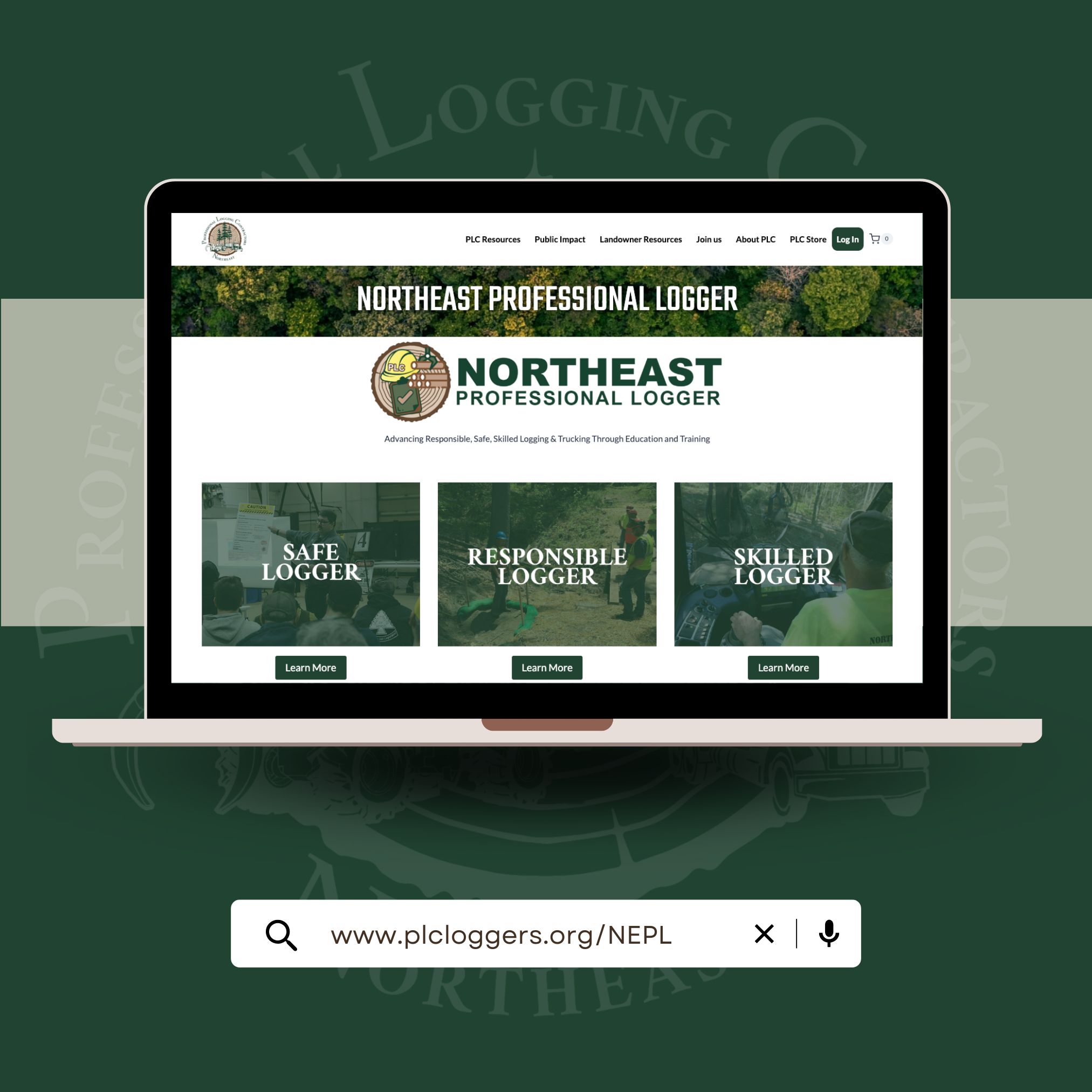 Member Weekly Update - June 20, 2025 - PLC of the Northeast