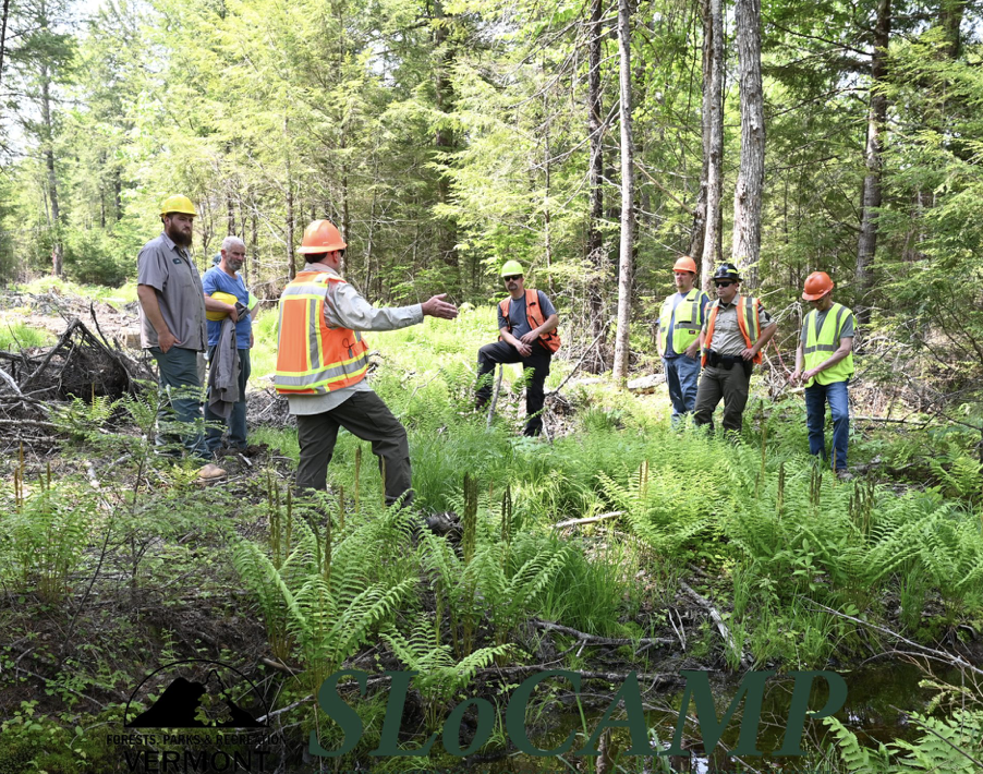 New SLoCAMP Grant Opportunity For Loggers Working in Vermont - PLC of ...